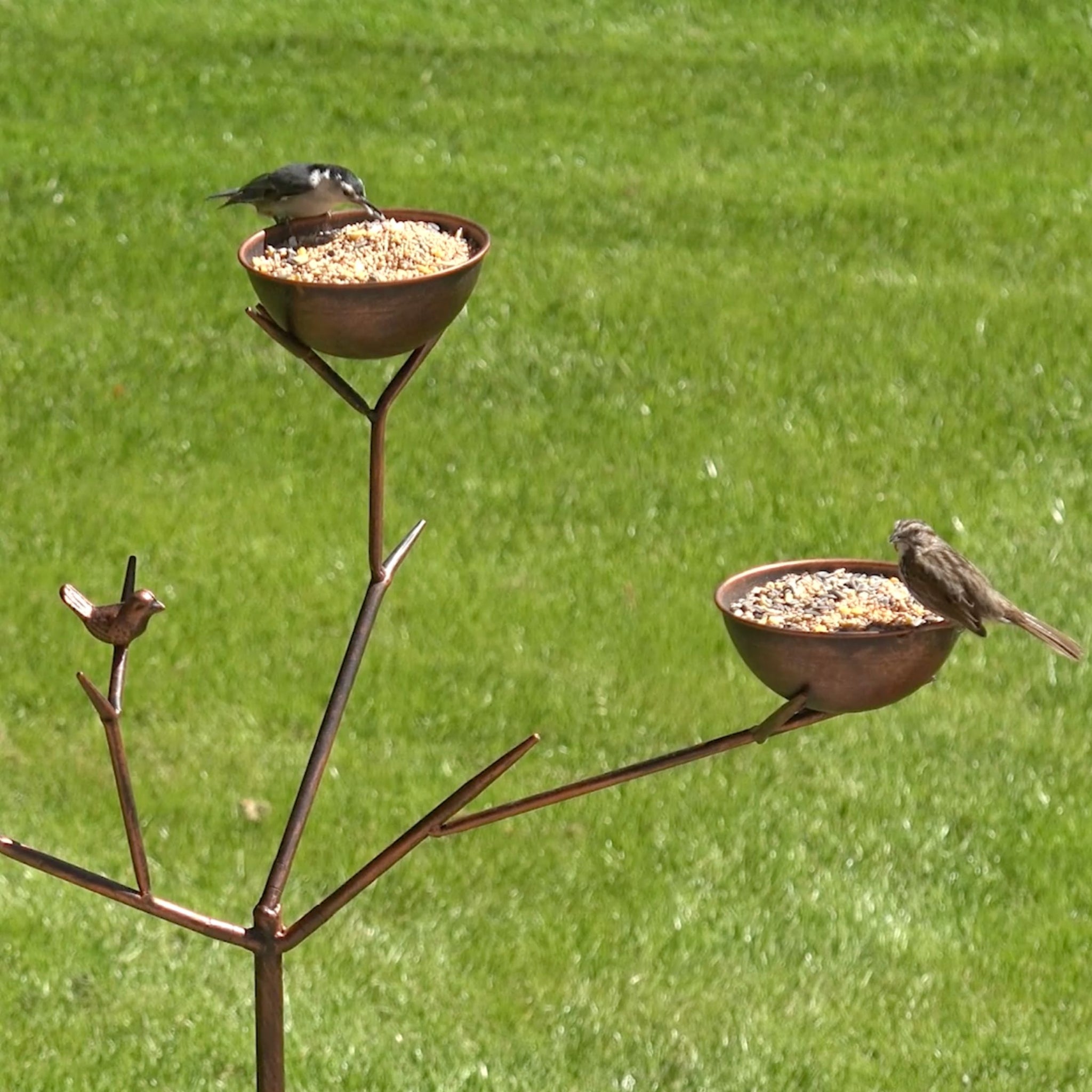 Alberto Standing Bird Feeder – Bernini Fountains