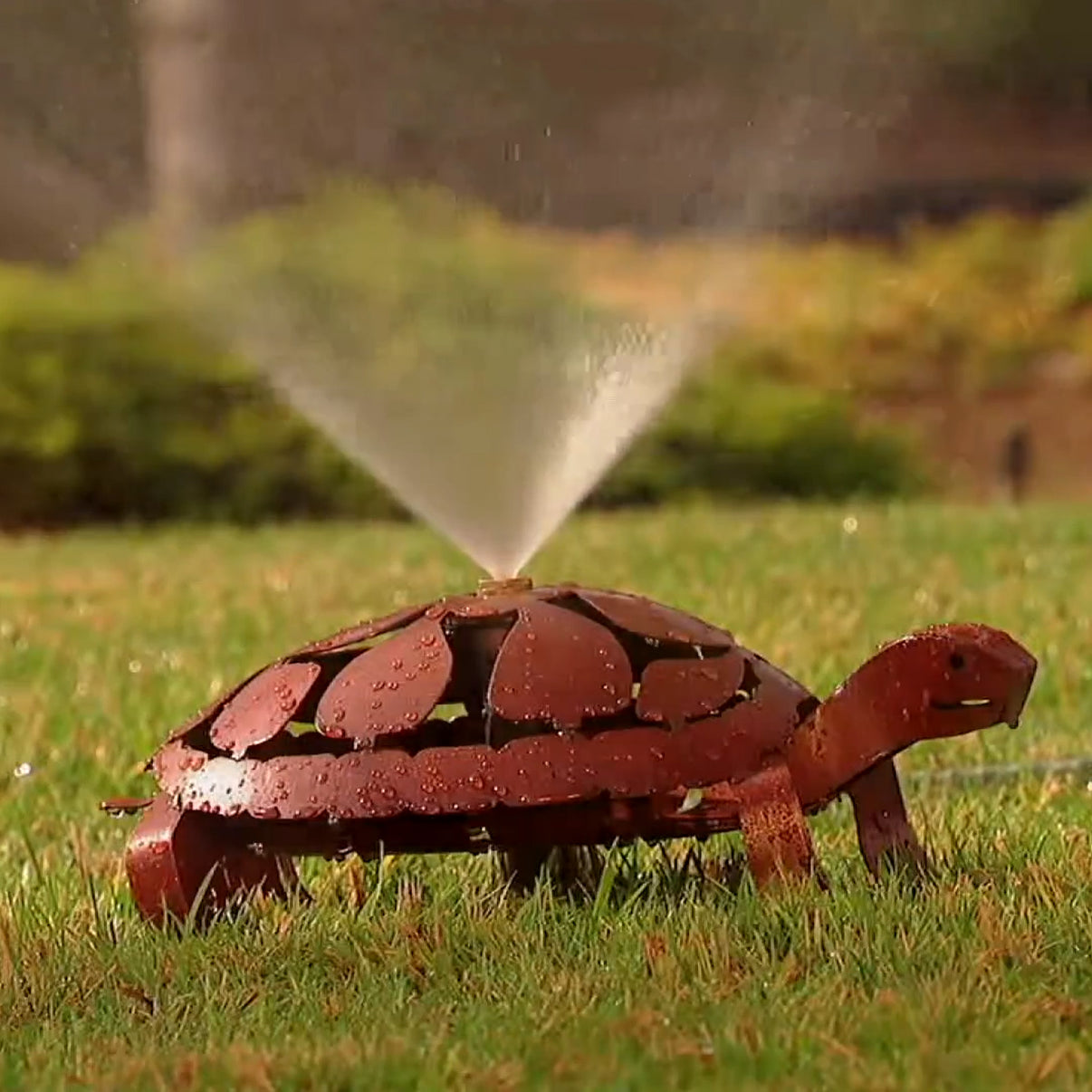 Rustic Turtle Sprinkler – Bernini Fountains